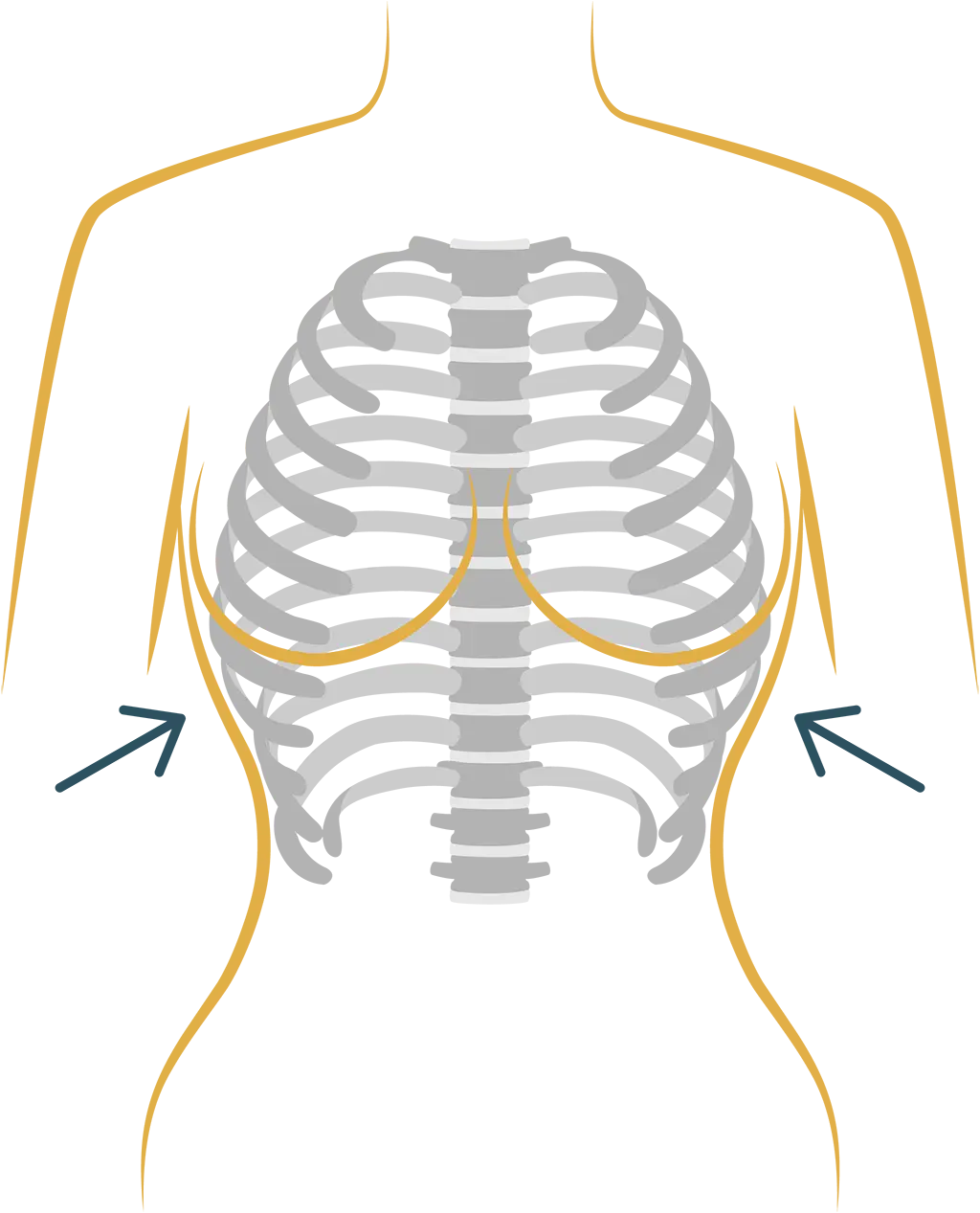 Home - Rib Sculpt Advanced Scarless Rib Remodeling Procedure